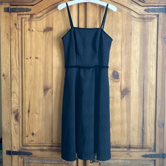 CDC | Dresses | Cdc Velvet Polka Dot Little Black Dress | Poshmark